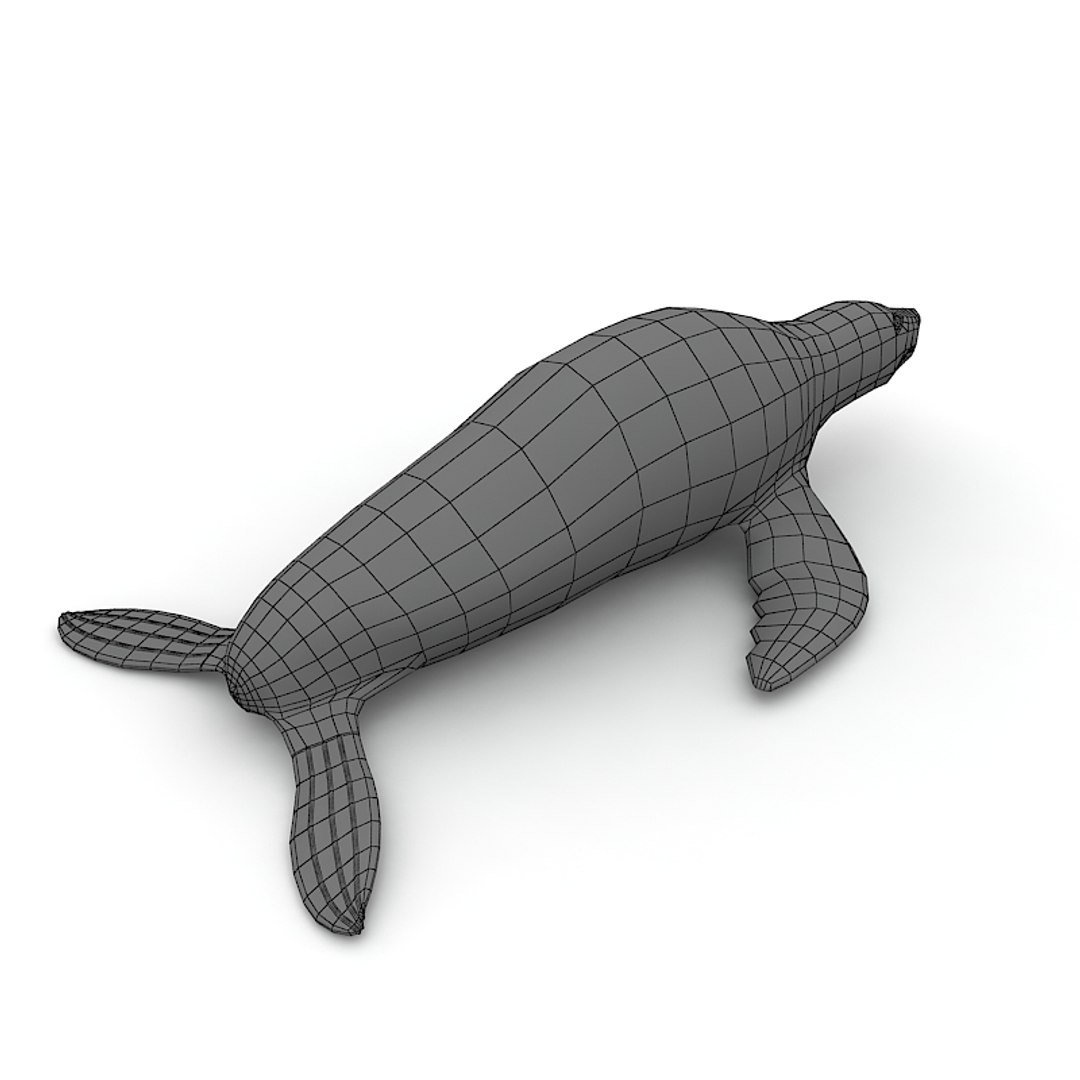 3d Fbx Polygonal Fur Seal