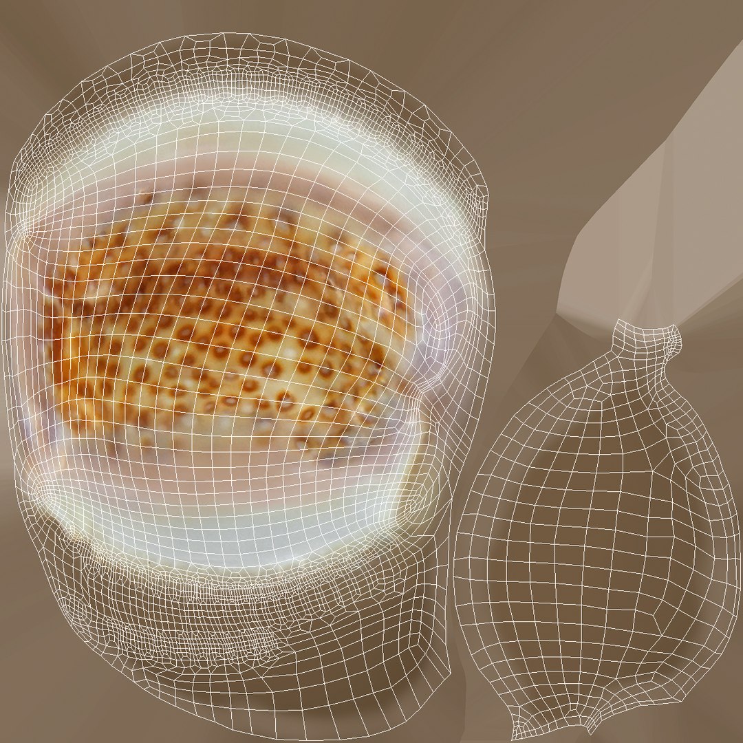 3D Model Sea Shell White-spotted Cowry - TurboSquid 1997438