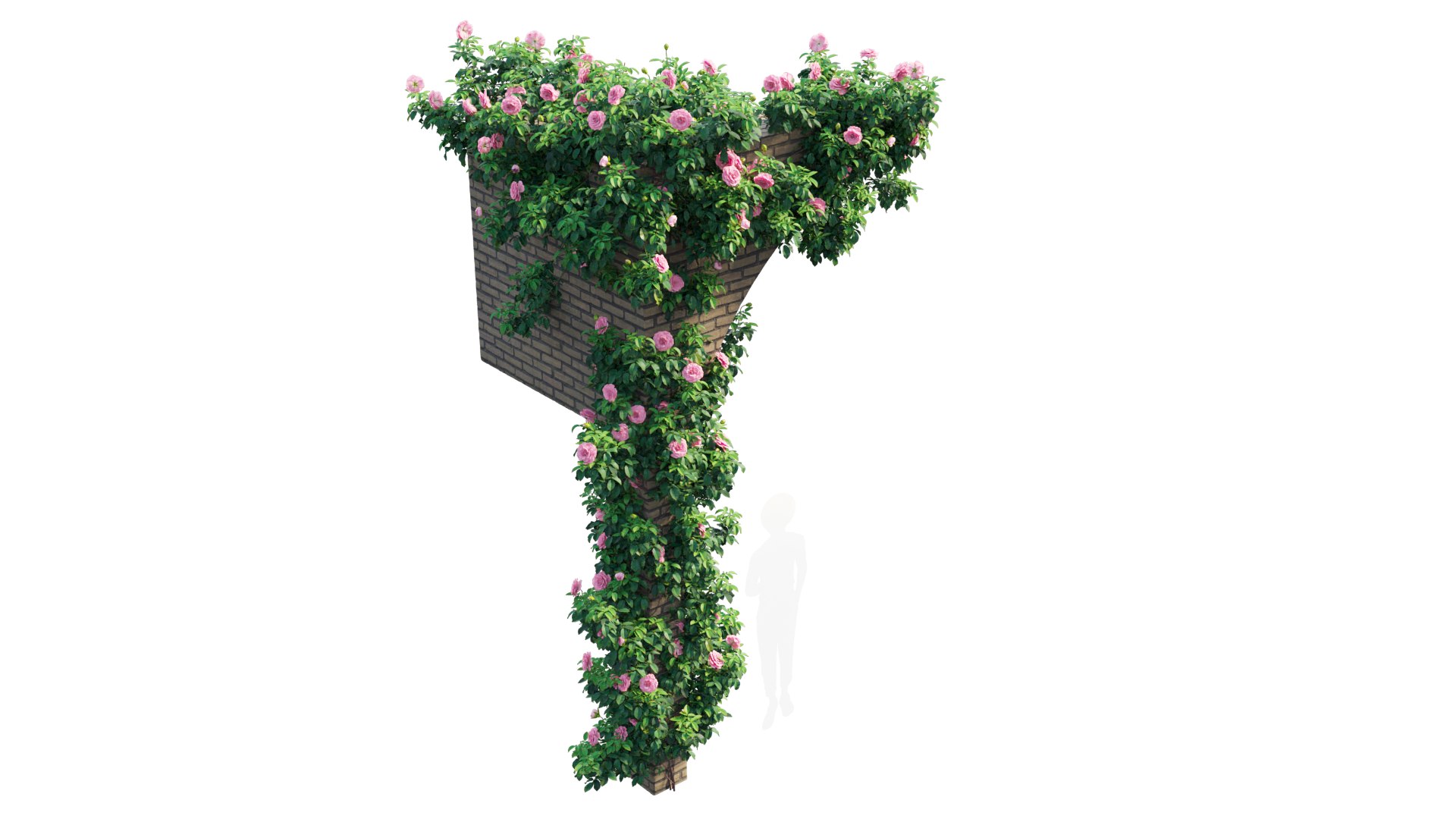 3D Rose Plant Set 71 Model - TurboSquid 1784505