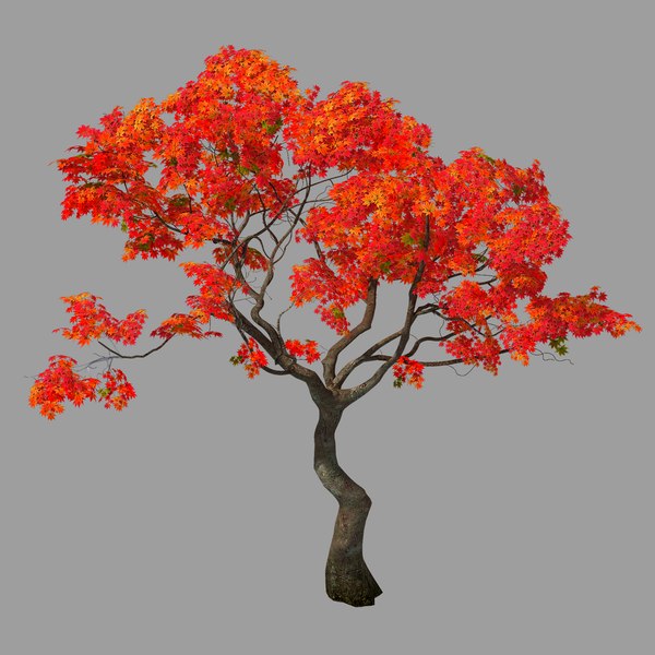 Forest - red tree 3D - TurboSquid 1449177