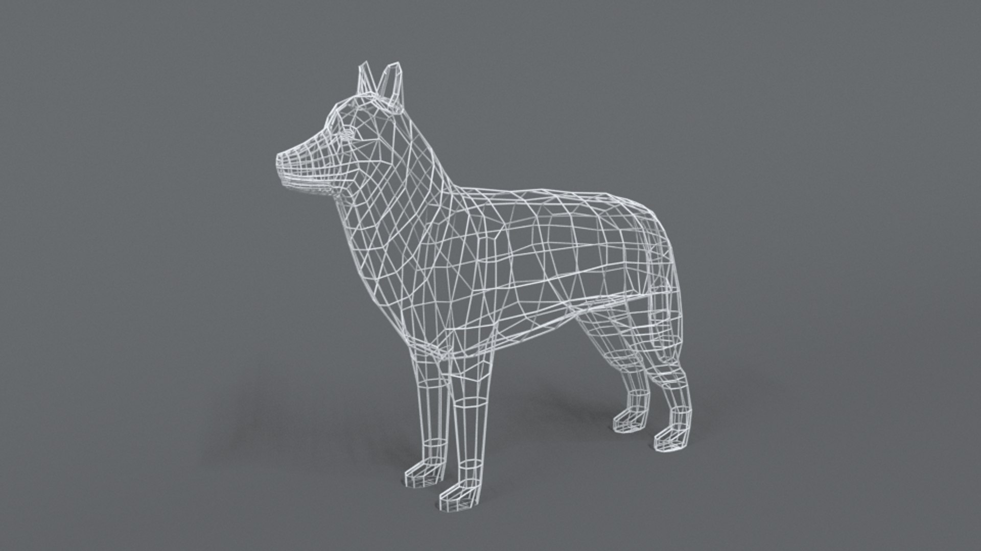3D Husky Dog Model - TurboSquid 1554061