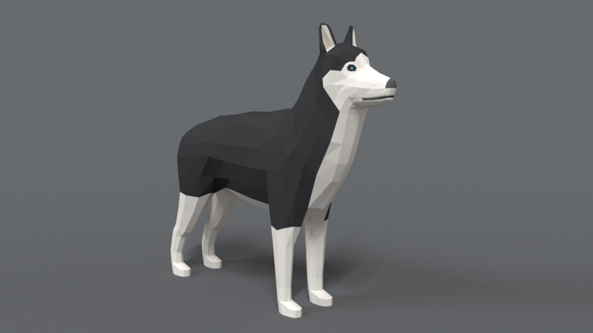 3D Husky Dog Model - TurboSquid 1554061