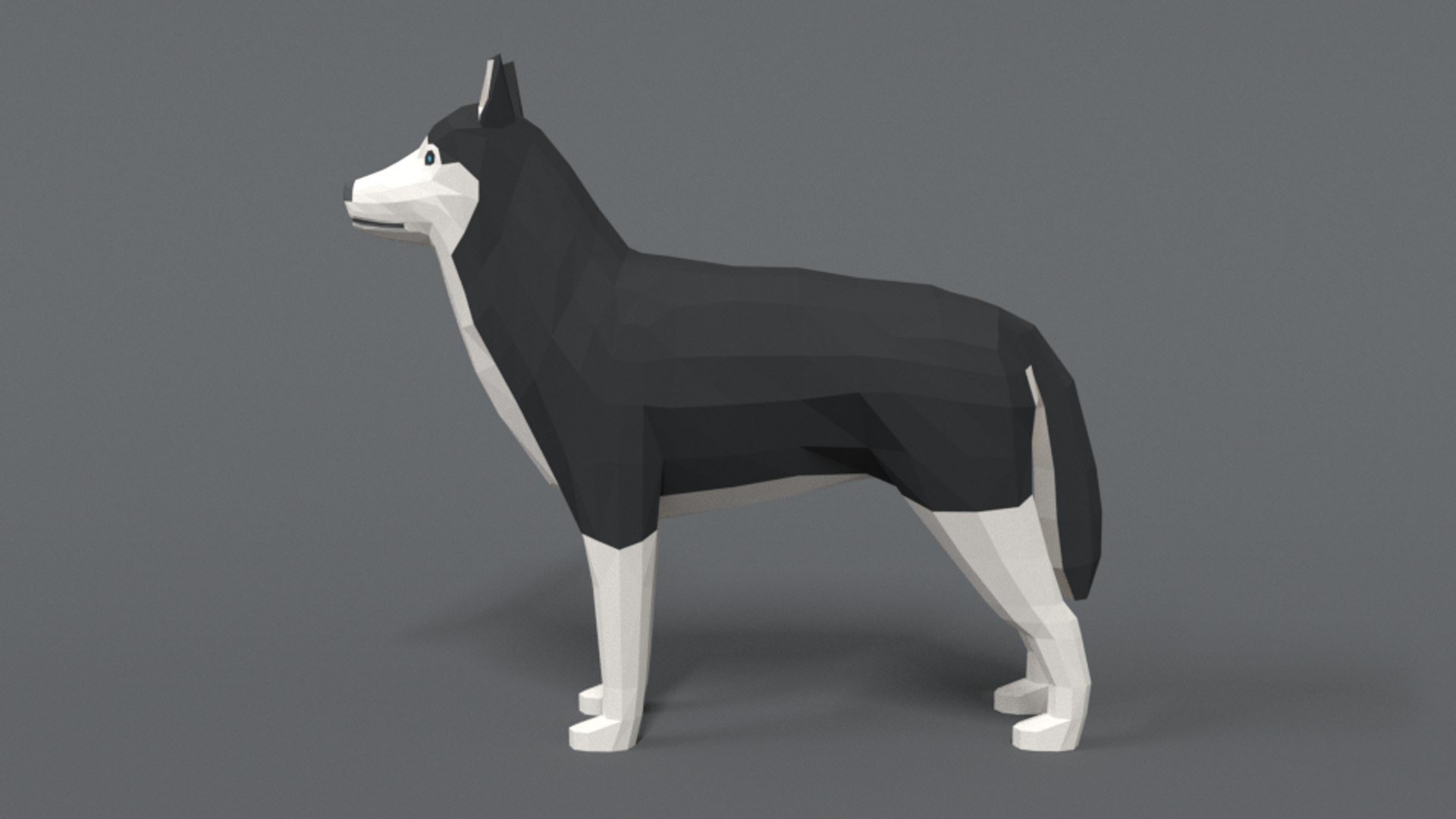 3D Husky Dog Model - TurboSquid 1554061