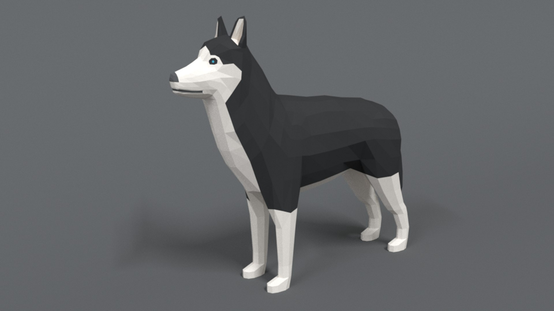 3D Husky Dog Model - TurboSquid 1554061