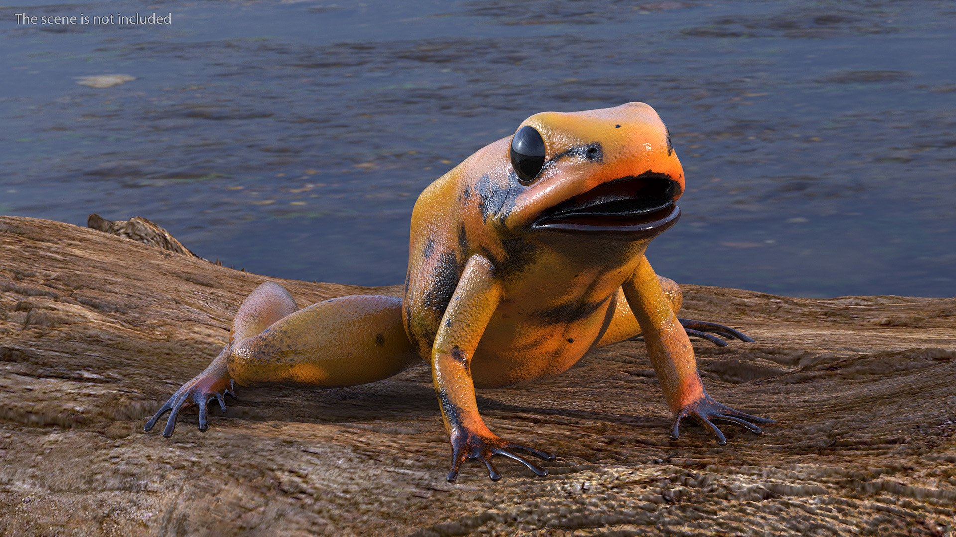 Orange Golden Poison Frog Model - TurboSquid 2184607