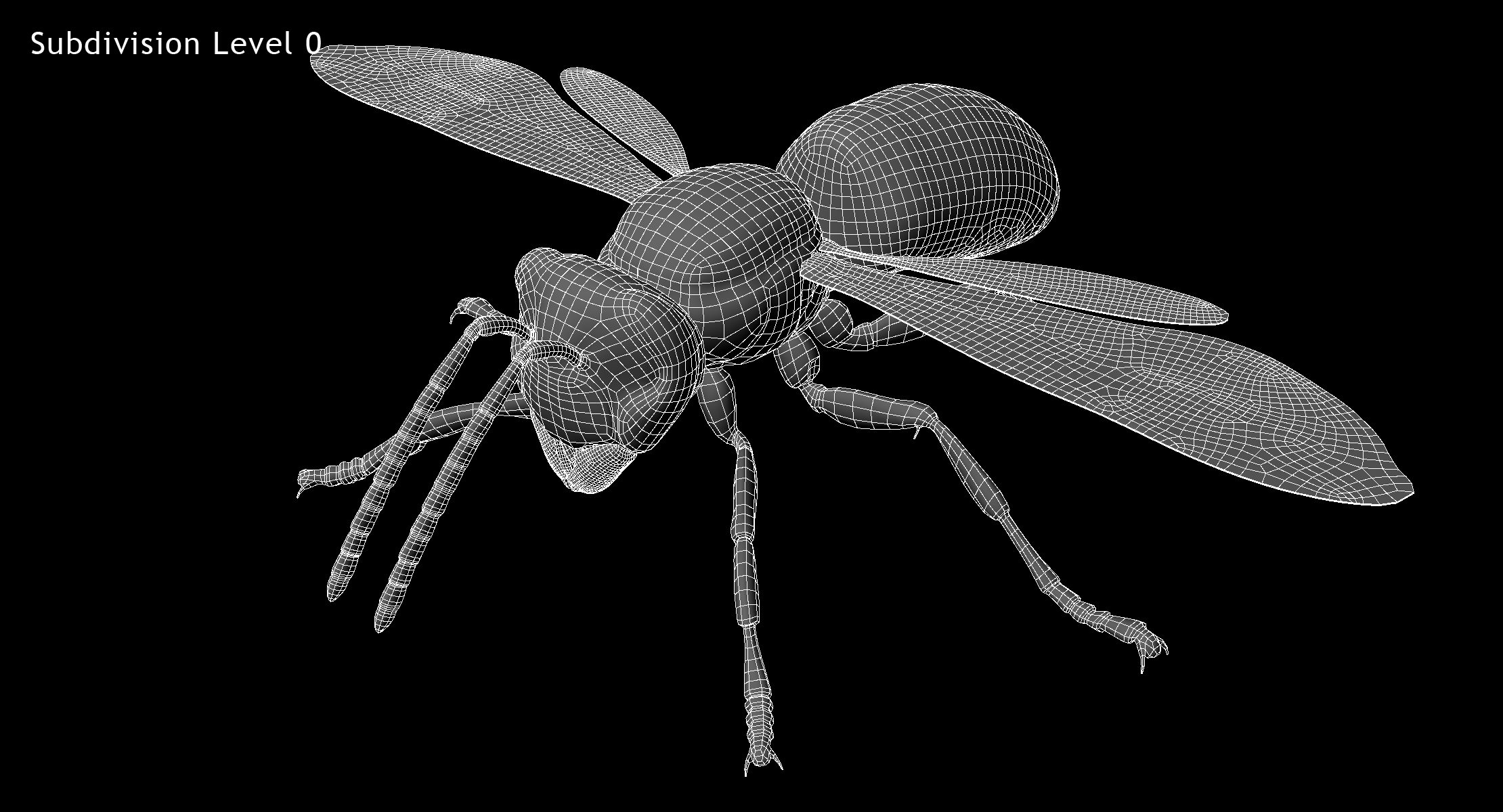 vespula vulgaris common wasp 3d obj