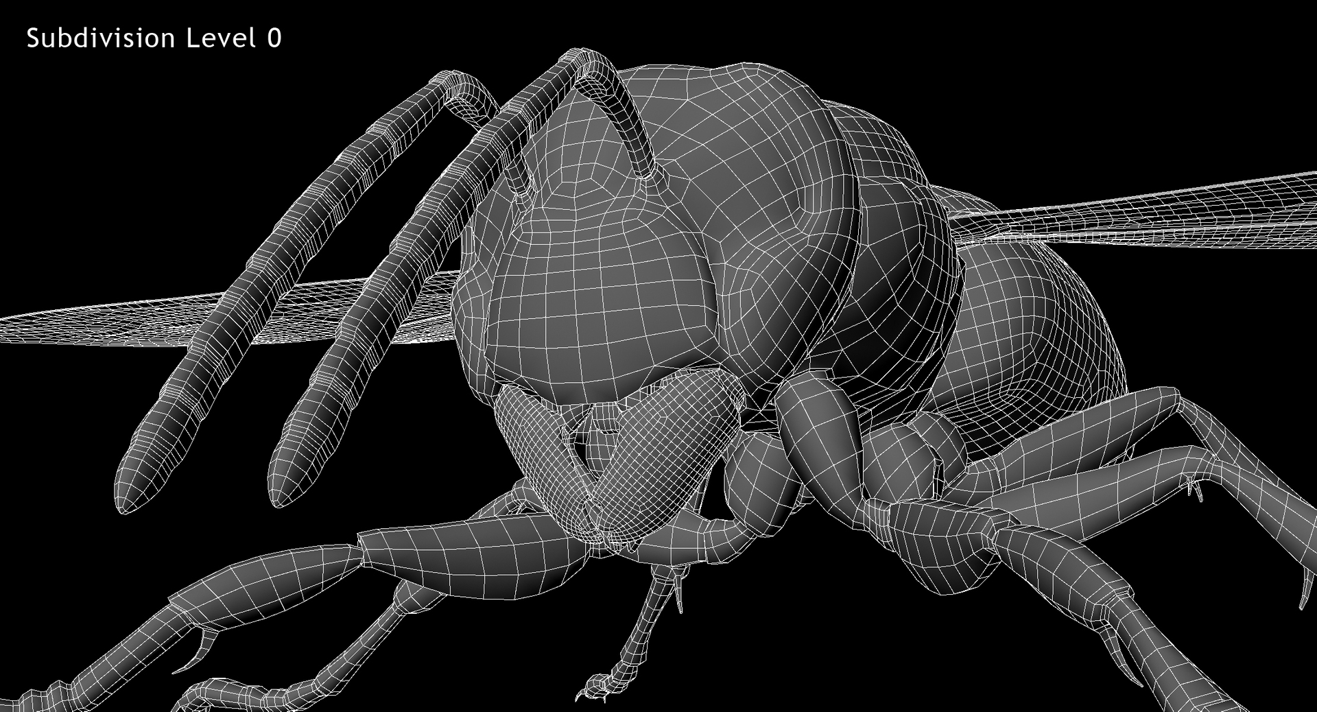 vespula vulgaris common wasp 3d obj