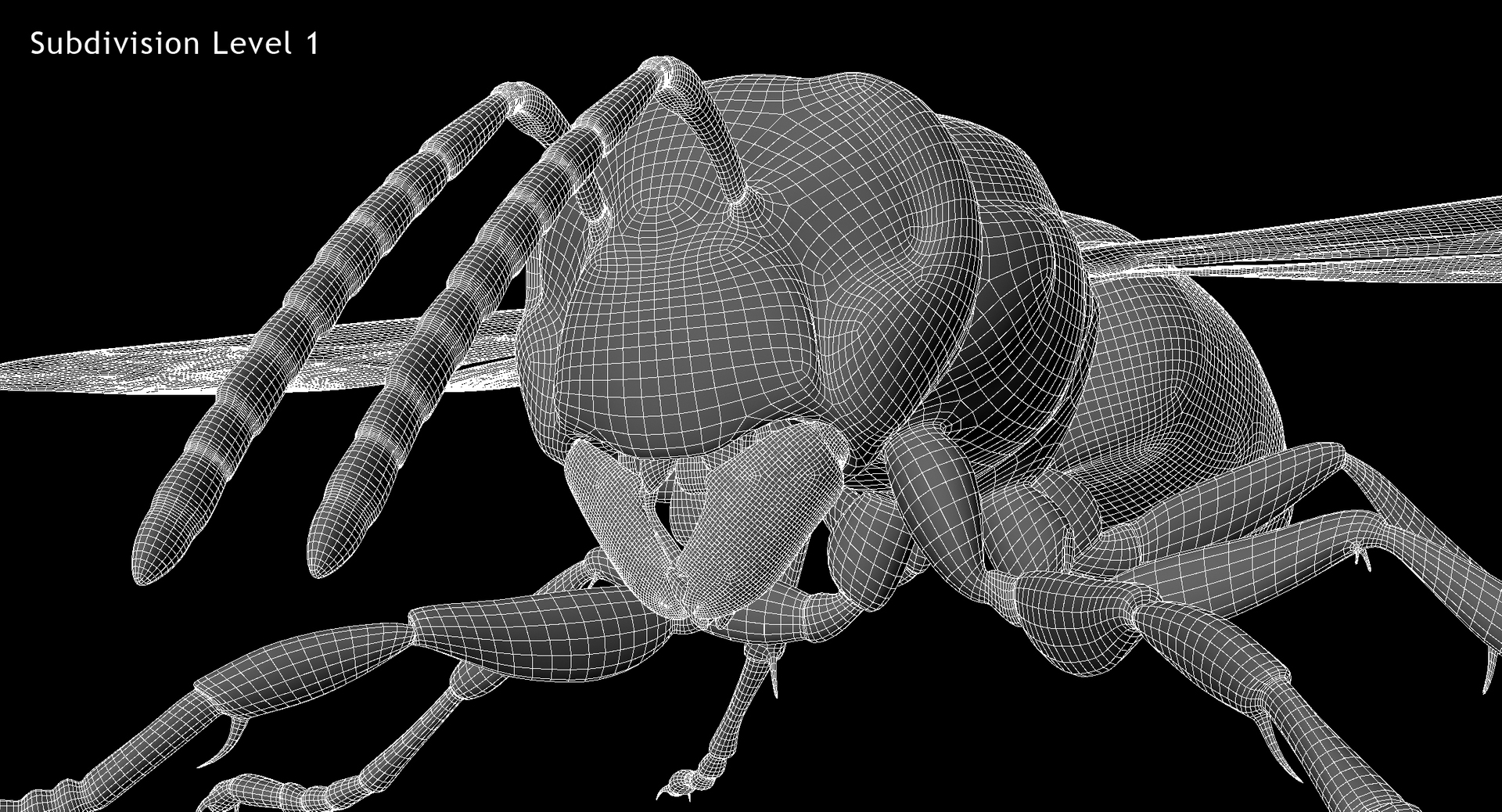 vespula vulgaris common wasp 3d obj