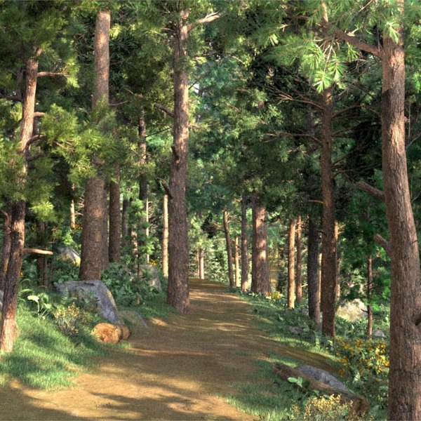 3D Forest Models | TurboSquid