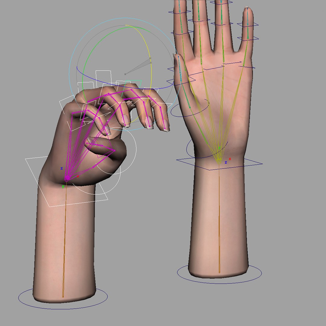 3d Rigged Female Hand Realistic