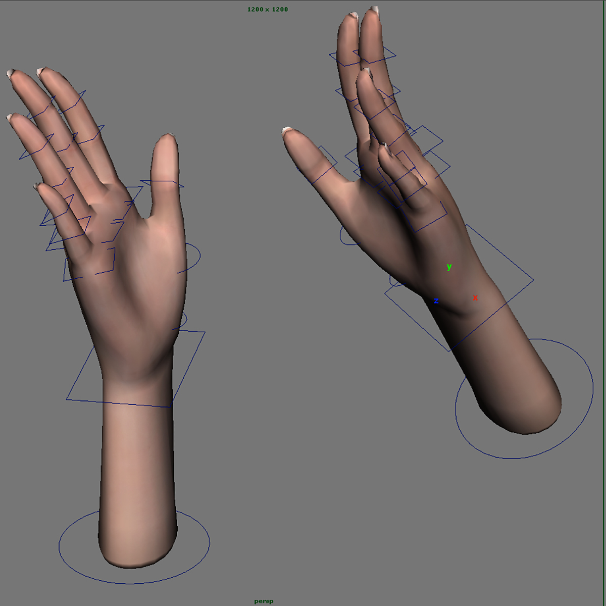 3d rigged female hand realistic