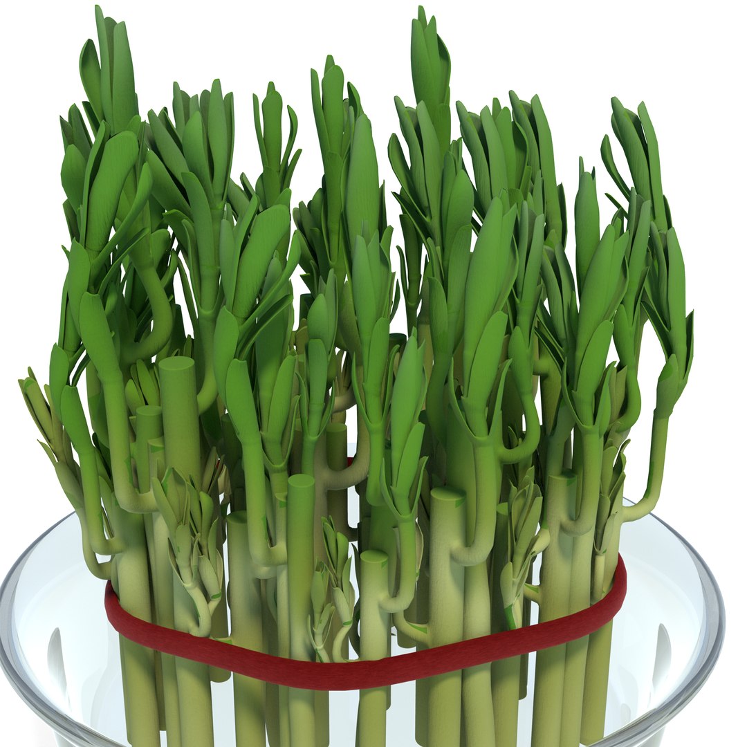 3D Small Bamboo Plant - TurboSquid 2093523
