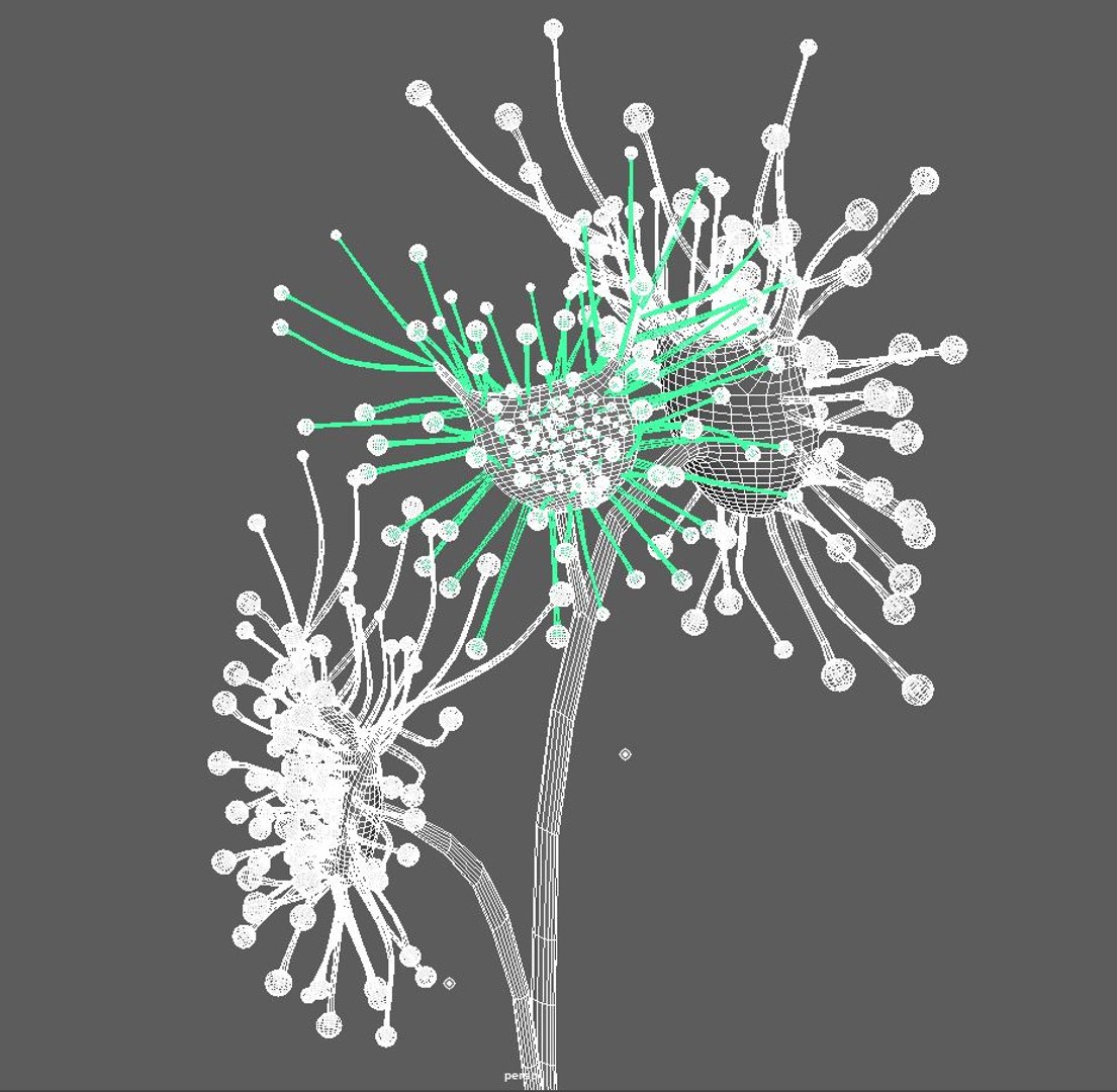 3D drosera plants - TurboSquid 1466300