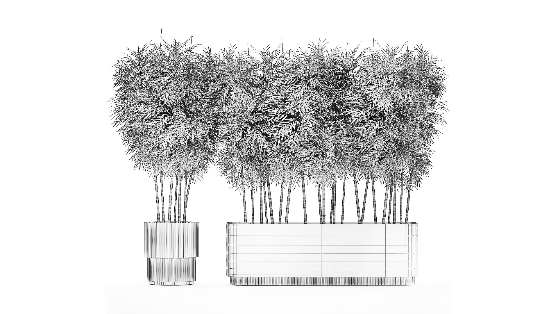 Beautiful Plant Bush Bamboo In Pots 1354 3D Model - TurboSquid 2095862