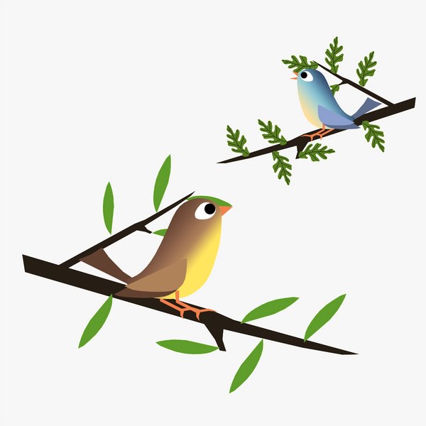 birds animation 3d 3ds