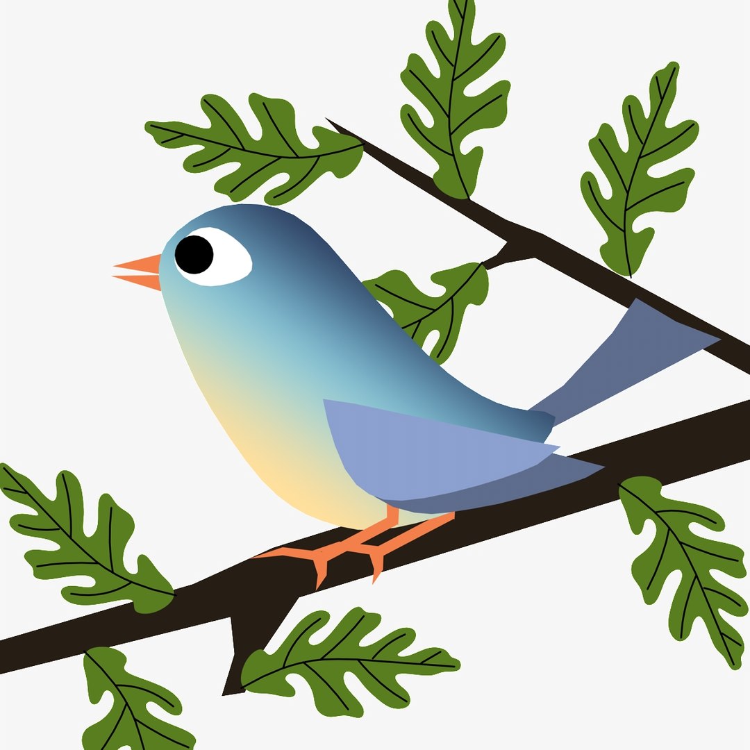 Birds Animation 3d 3ds