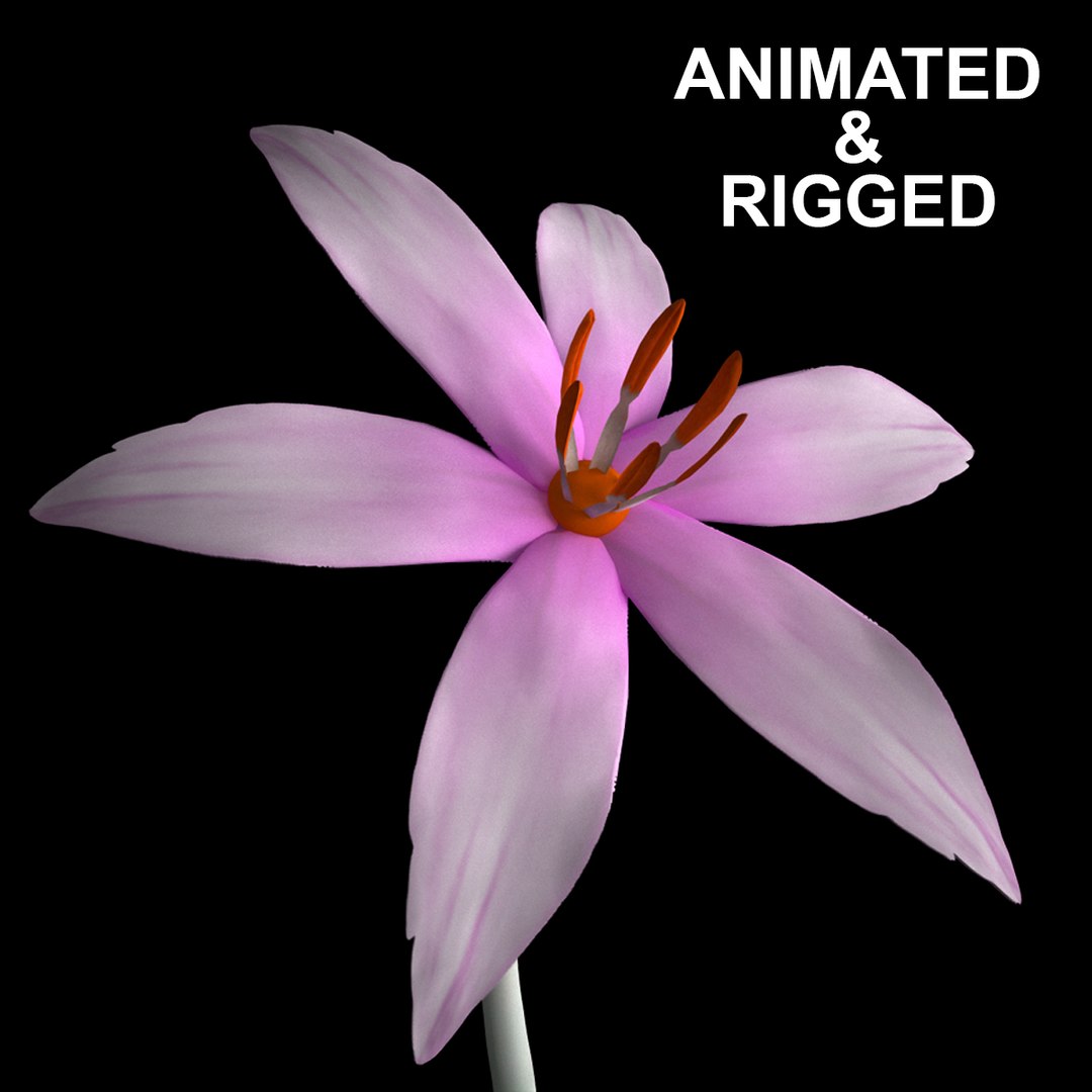 3D Model Flowers Open Animation - TurboSquid 1586601