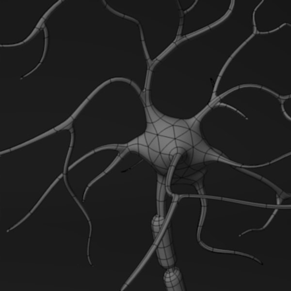 neuron cell 3d model