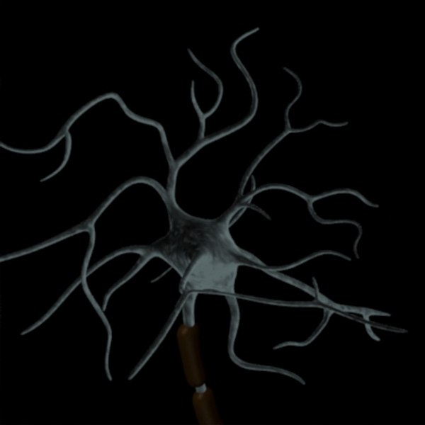 neuron cell 3d model