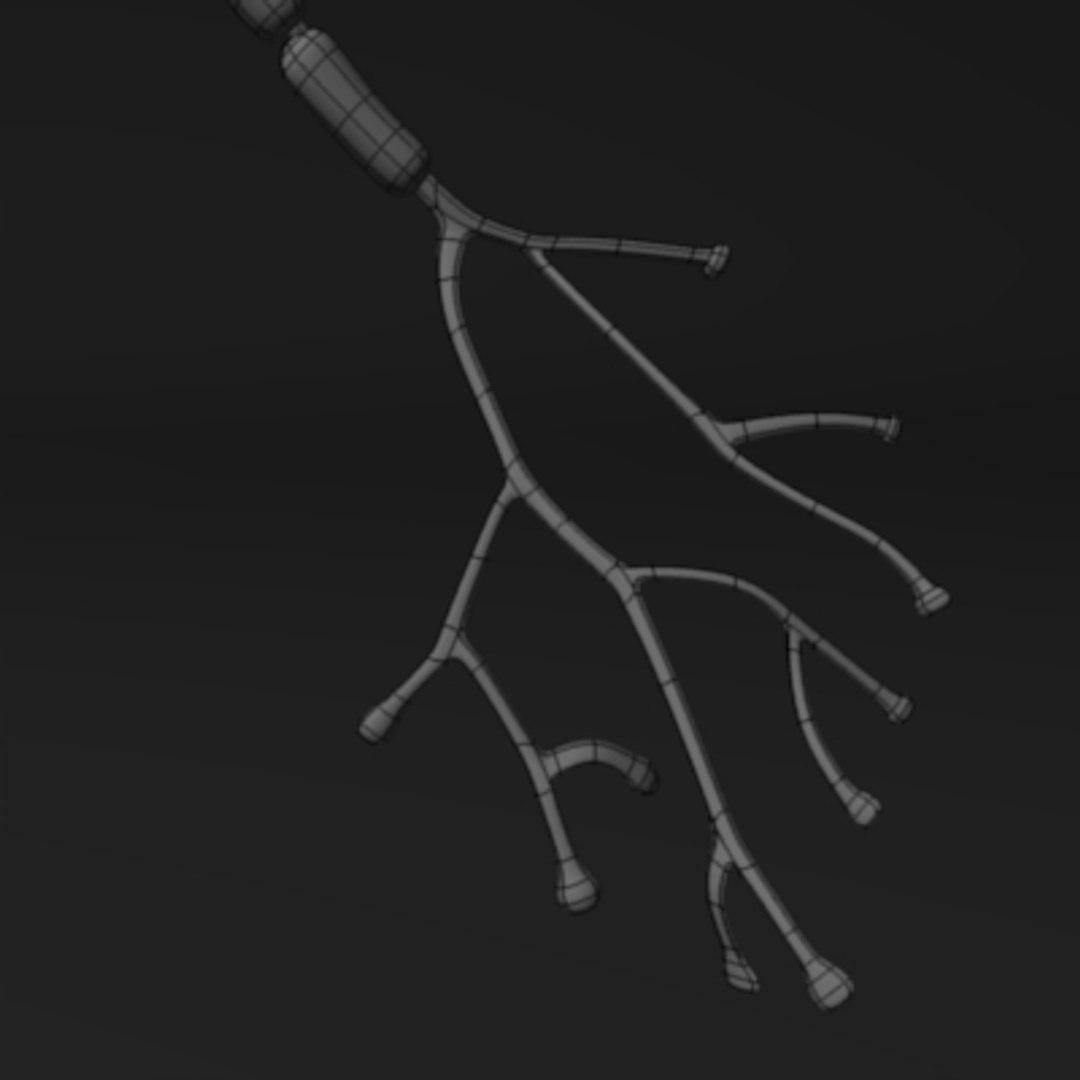 Neuron Cell 3d Model