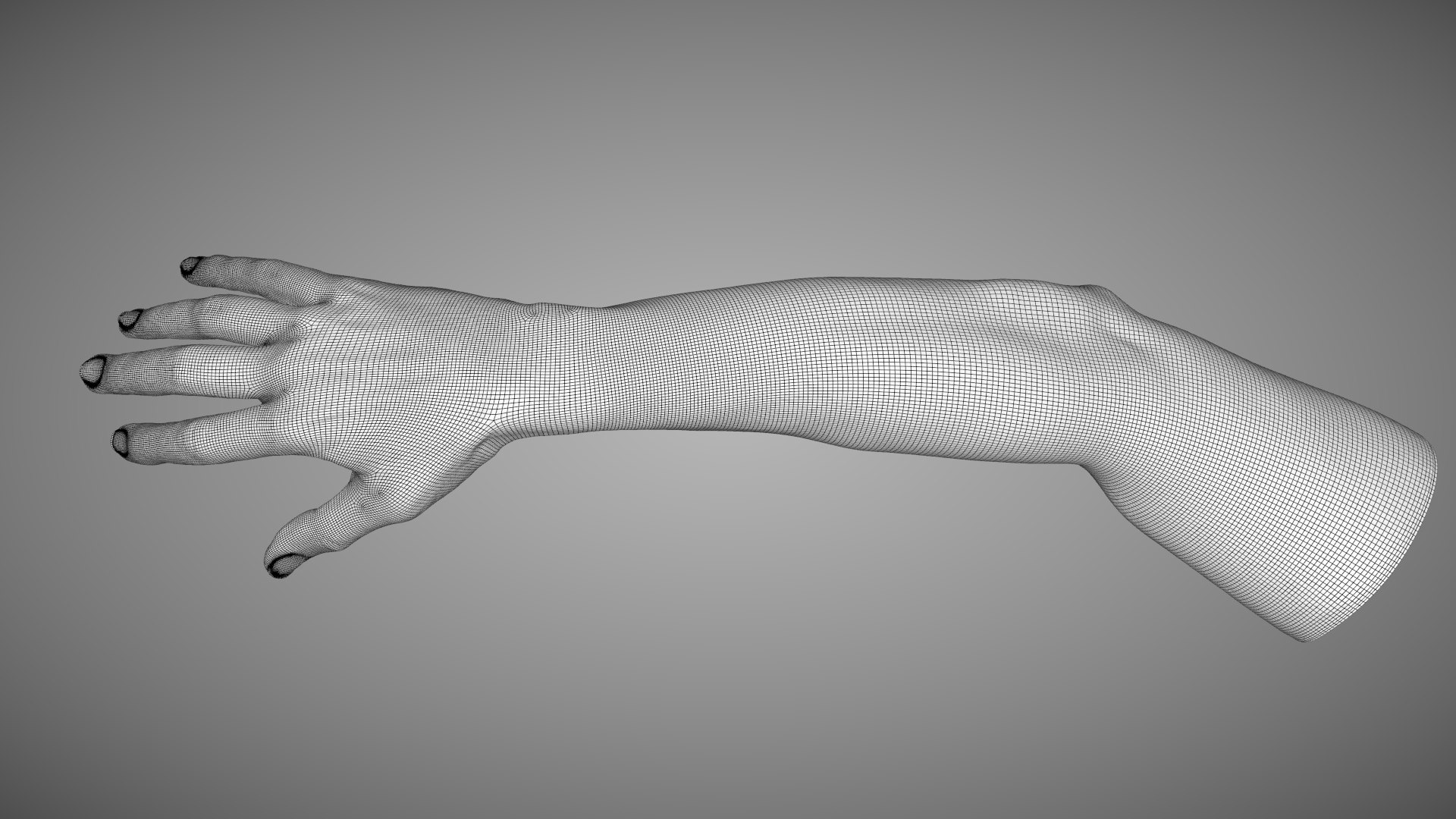 Multi Bare Arms Fully Rigged model - TurboSquid 2033742