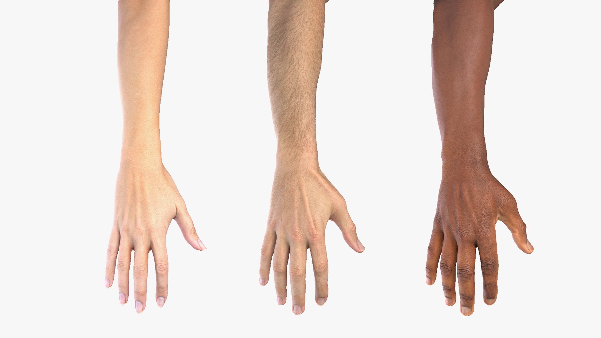 Multi Bare Arms Fully Rigged model - TurboSquid 2033742