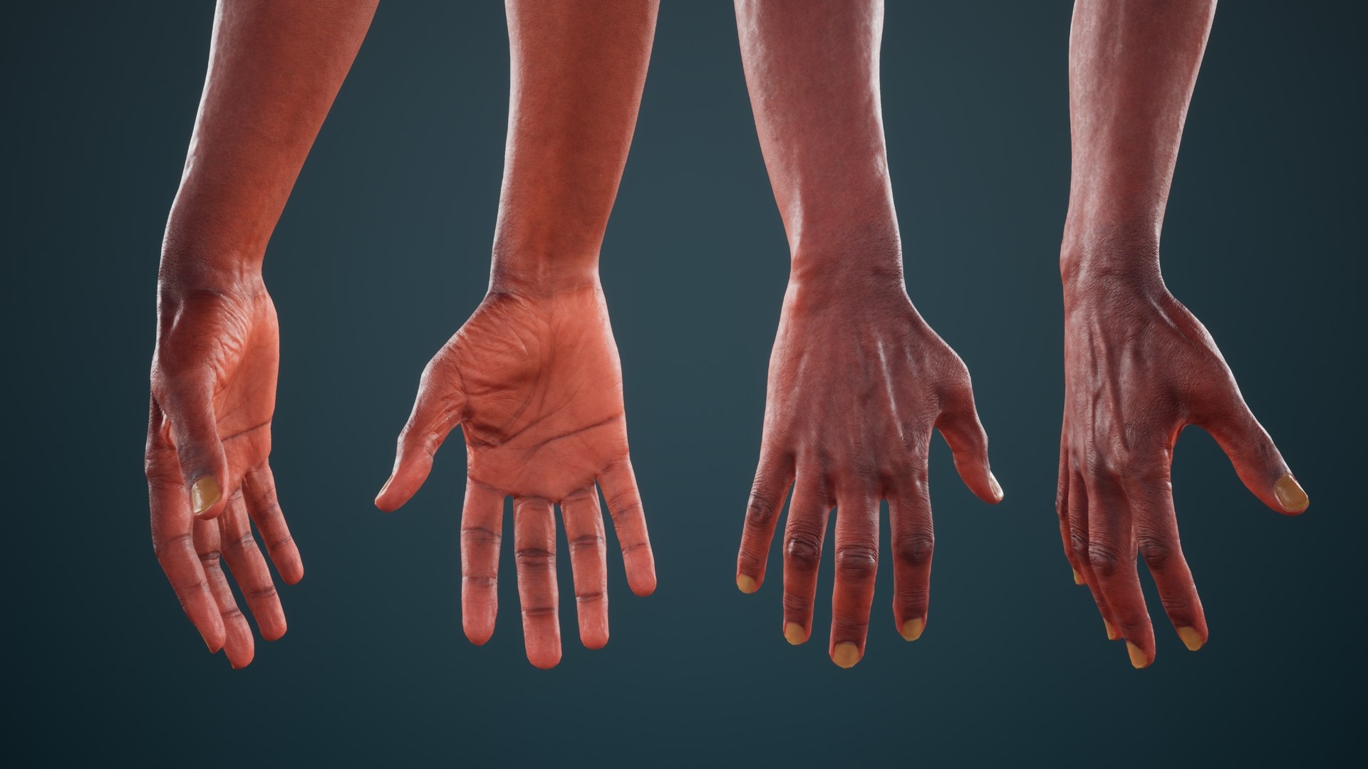 Multi Bare Arms Fully Rigged model - TurboSquid 2033742