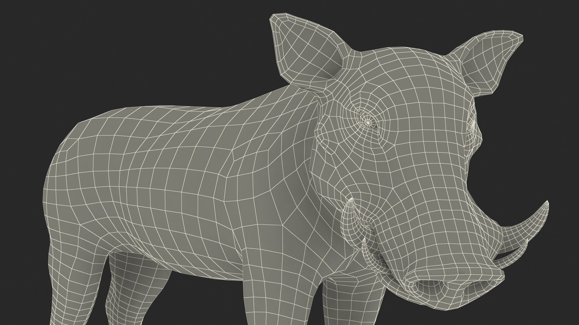 3D South African Wild Boar Standing Pose Fur - TurboSquid 2215094