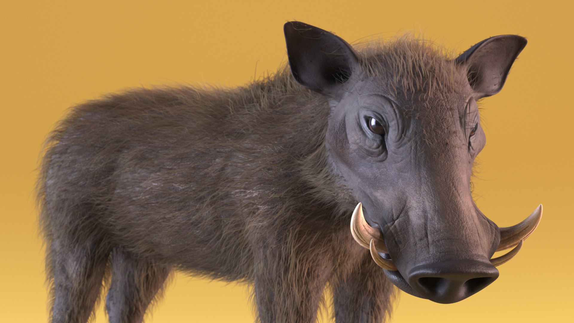 3D South African Wild Boar Standing Pose Fur - TurboSquid 2215094