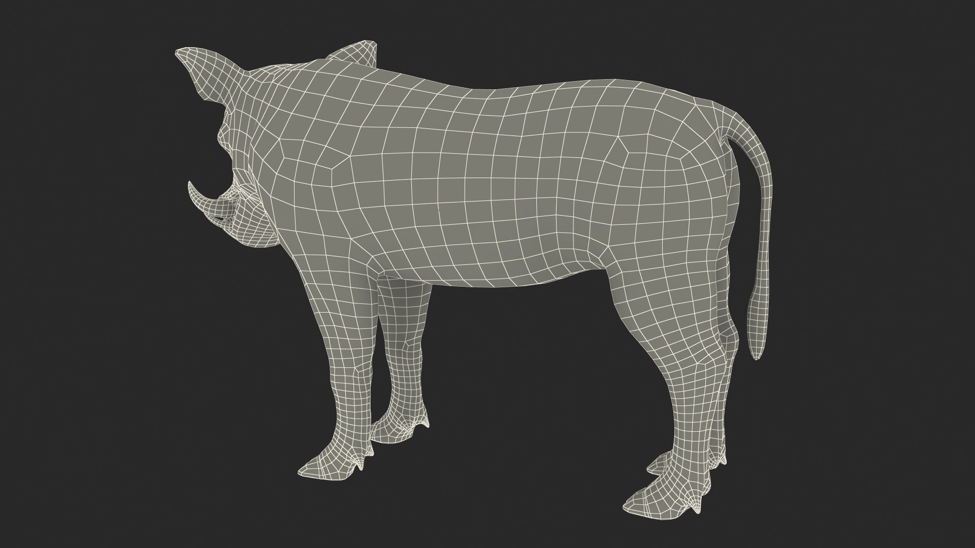 3D South African Wild Boar Standing Pose Fur - TurboSquid 2215094