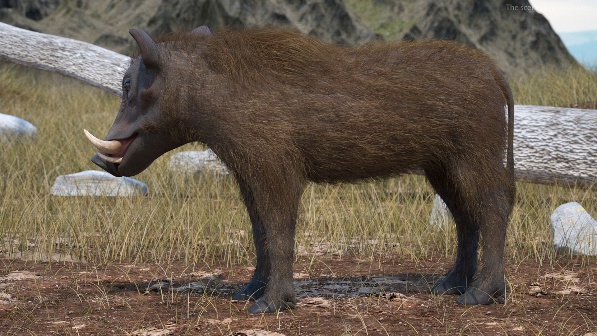 3D South African Wild Boar Standing Pose Fur - TurboSquid 2215094