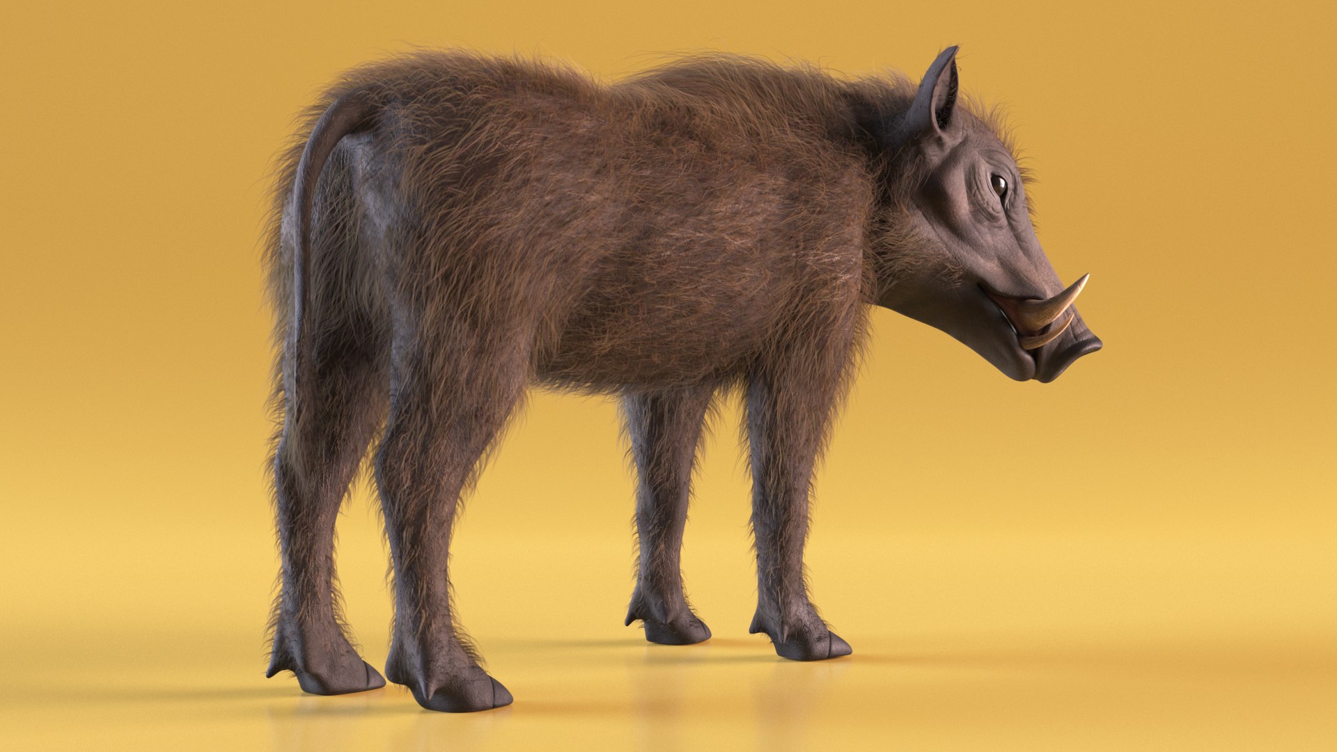 3D South African Wild Boar Standing Pose Fur - TurboSquid 2215094