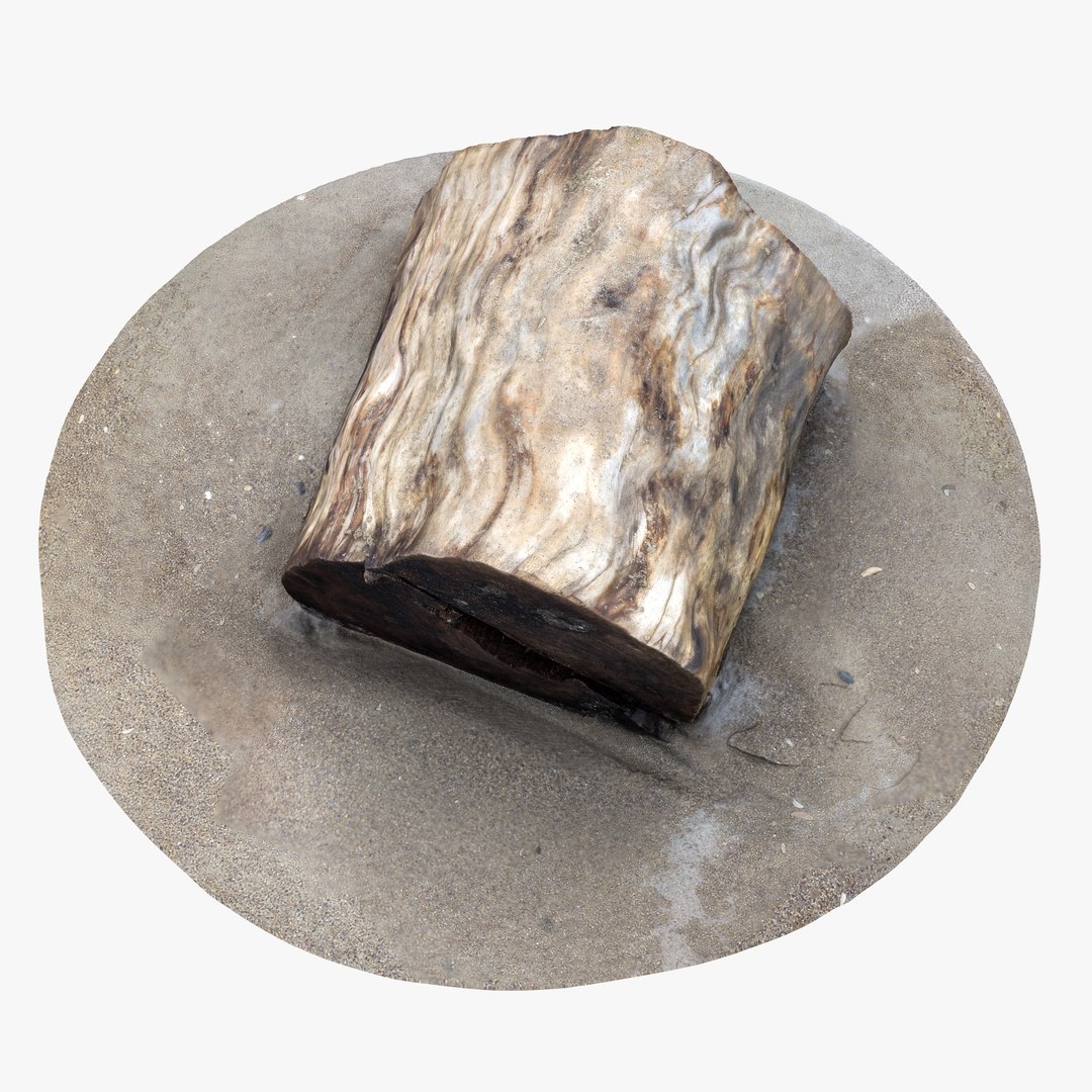 3D Rustic Wood Stumps Model - TurboSquid 1230978