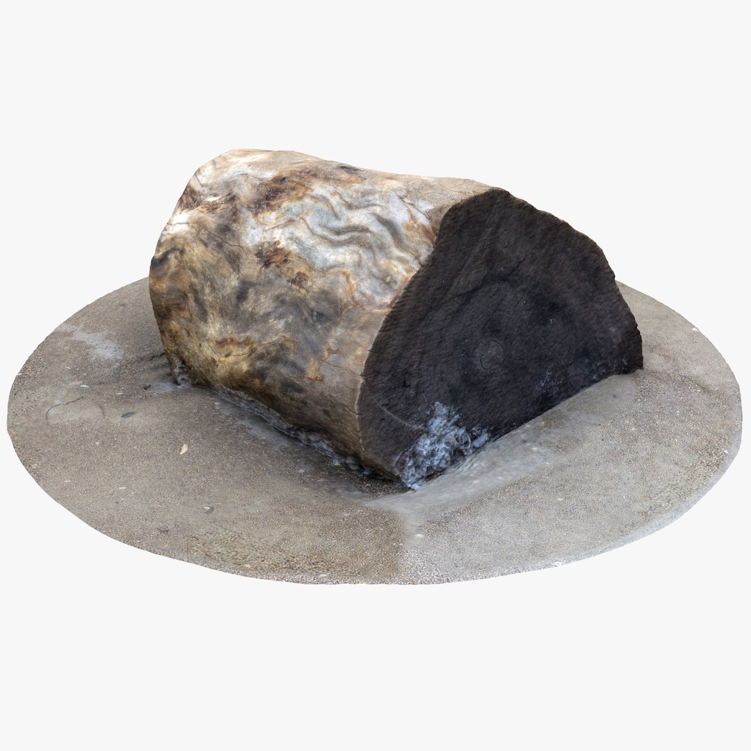 3D Rustic Wood Stumps Model - TurboSquid 1230978