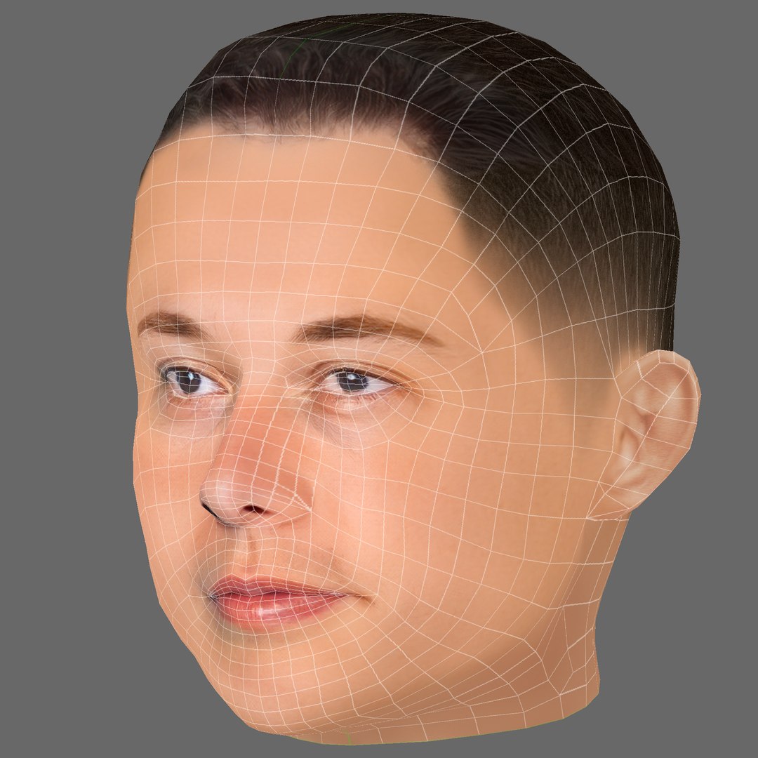 Elon Musk Head - Low Poly Head For Game 3D Model - TurboSquid 2218893