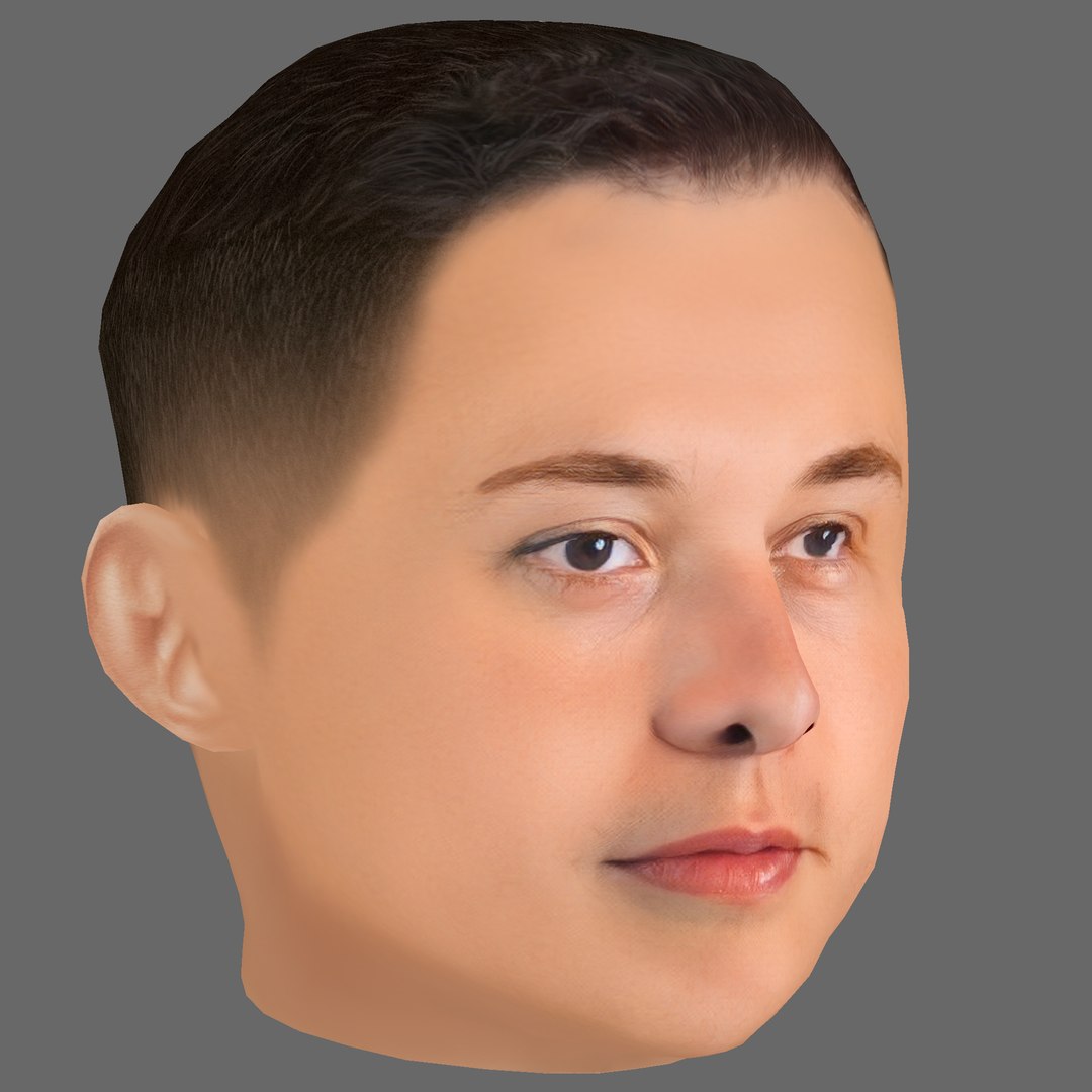 Elon Musk Head - Low Poly Head For Game 3D Model - TurboSquid 2218893