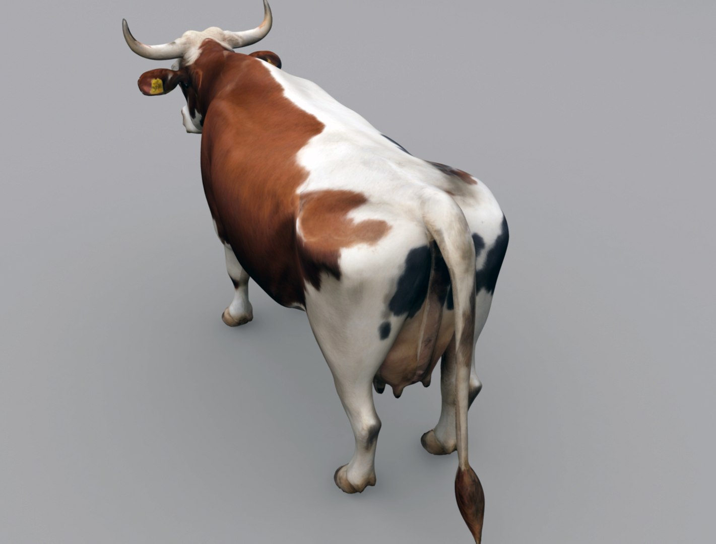 Realistic Cow 3D Model 3D Model - TurboSquid 2325913