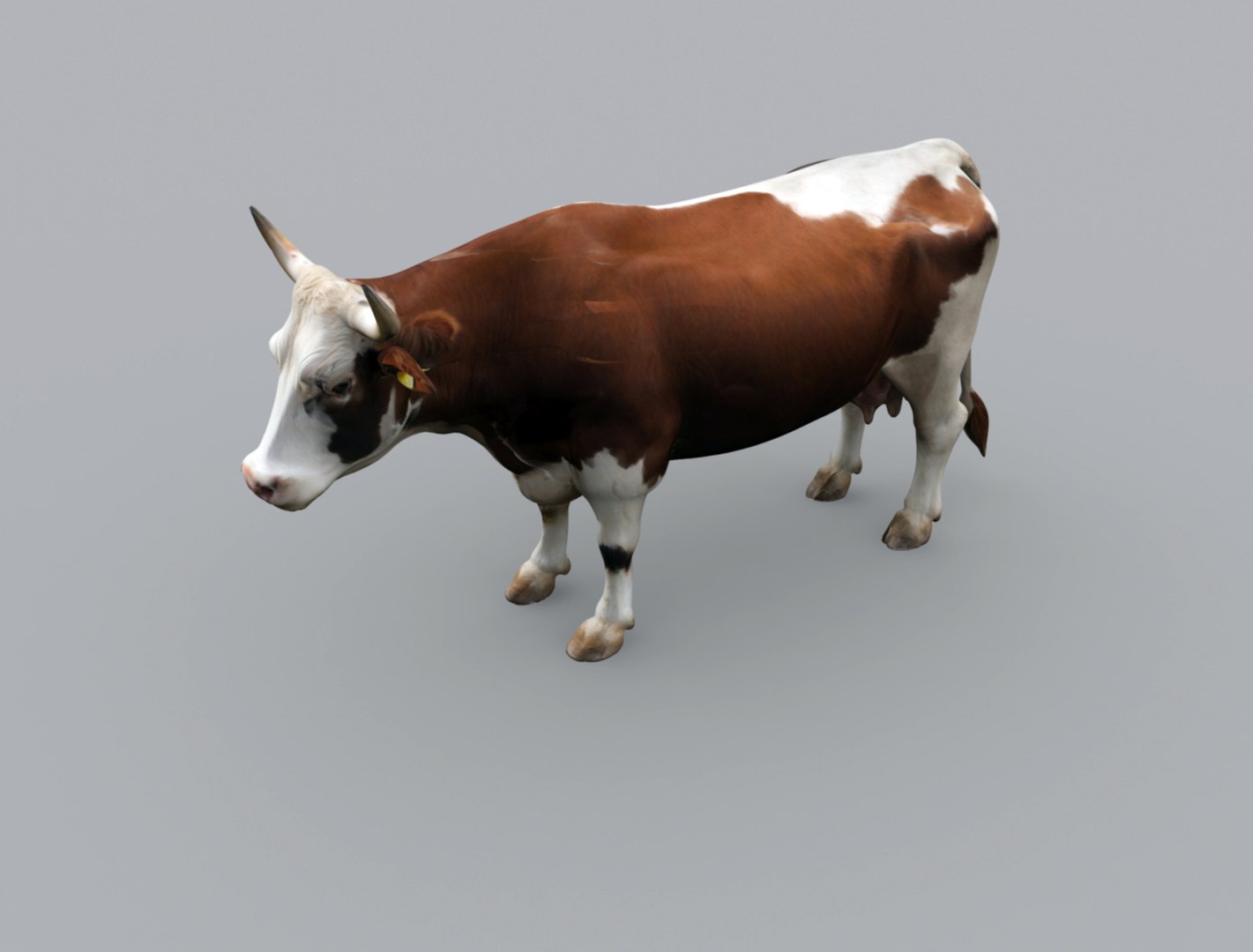 Realistic Cow 3D Model 3D Model - TurboSquid 2325913