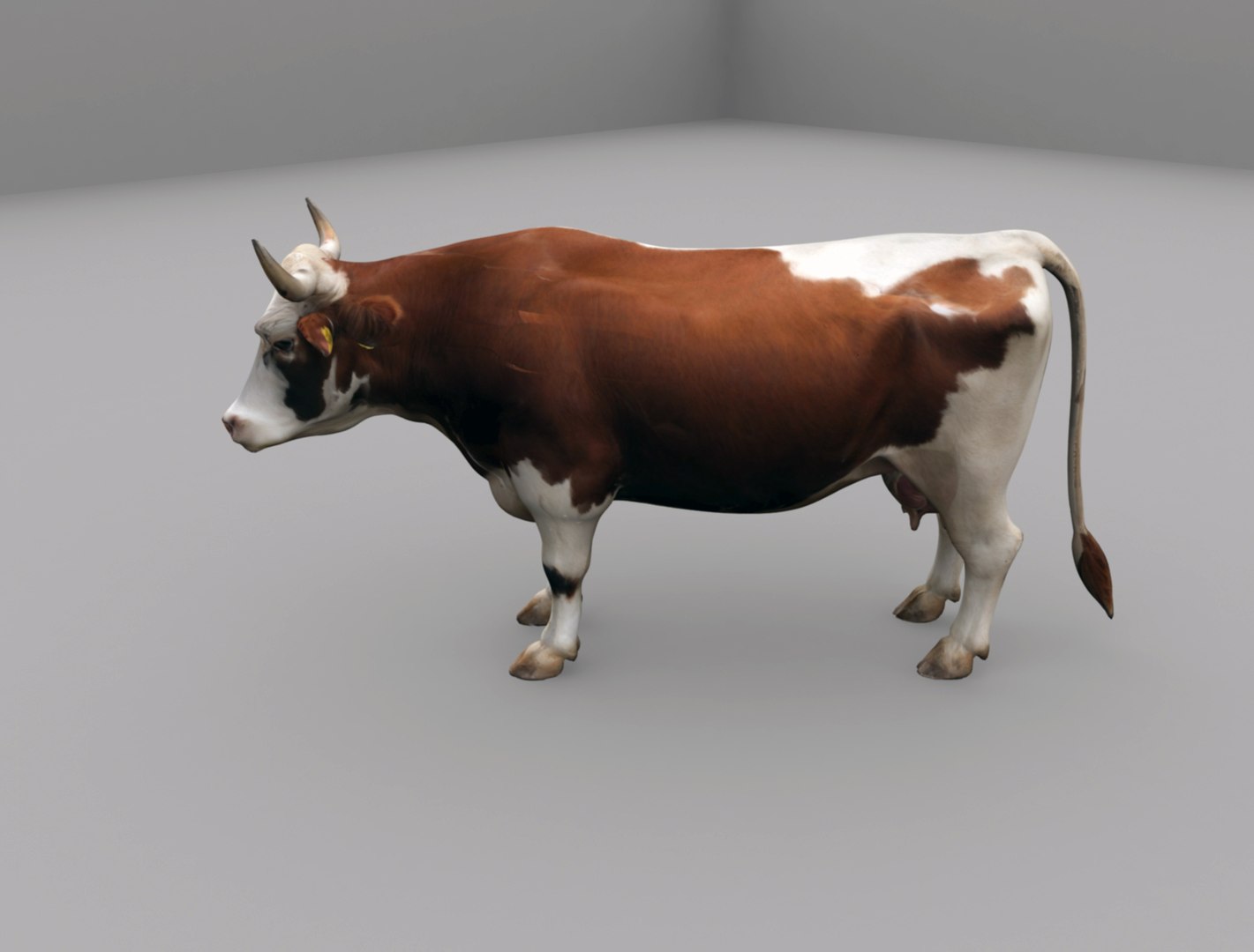 Realistic Cow 3D Model 3D Model - TurboSquid 2325913