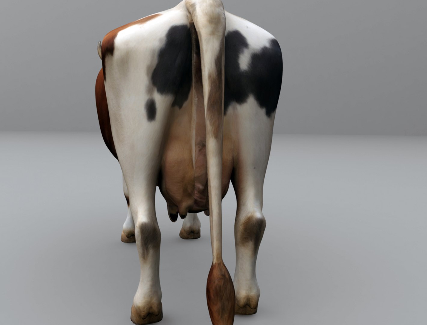 Realistic Cow 3D Model 3D Model - TurboSquid 2325913