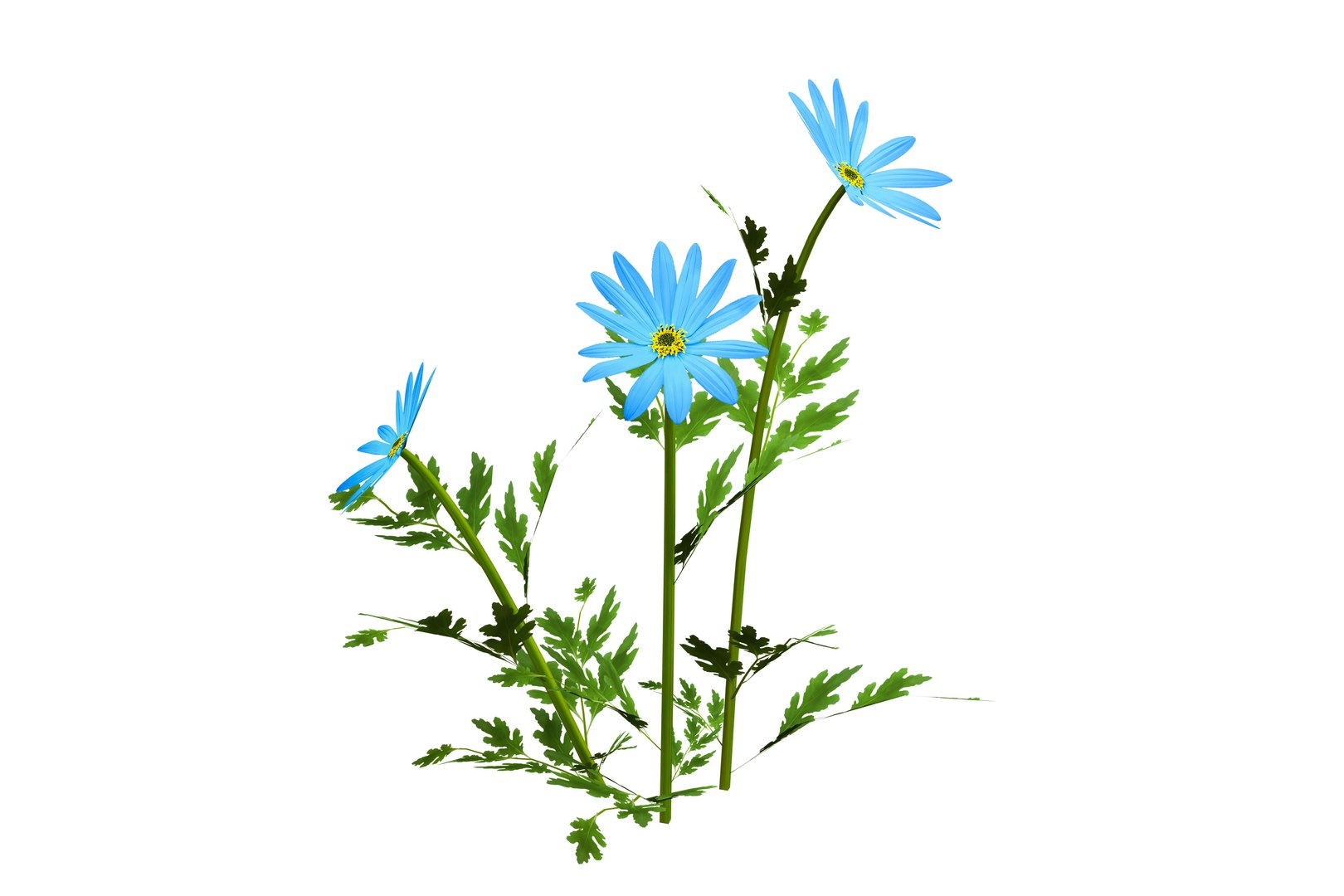 Blue Flower Plant 3D - TurboSquid 2249680