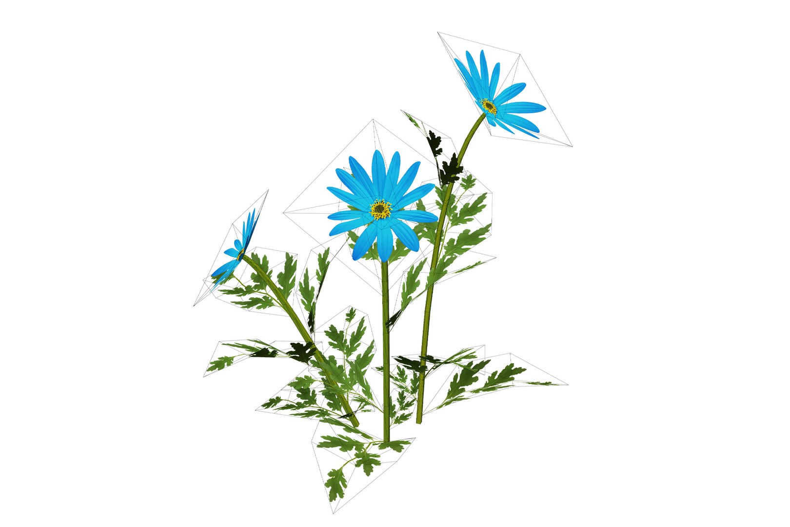 Blue Flower Plant 3D - TurboSquid 2249680
