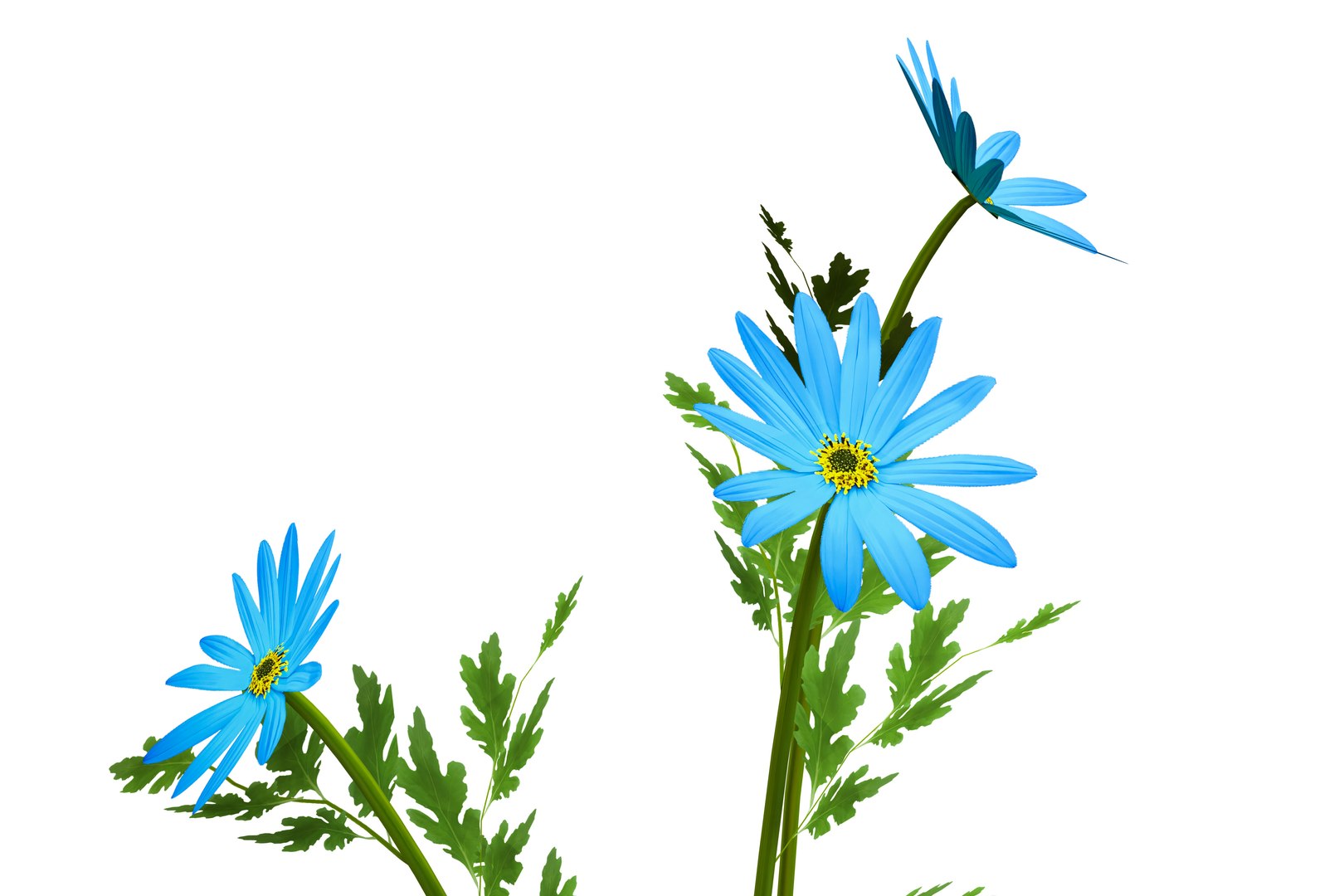 Blue Flower Plant 3D - TurboSquid 2249680