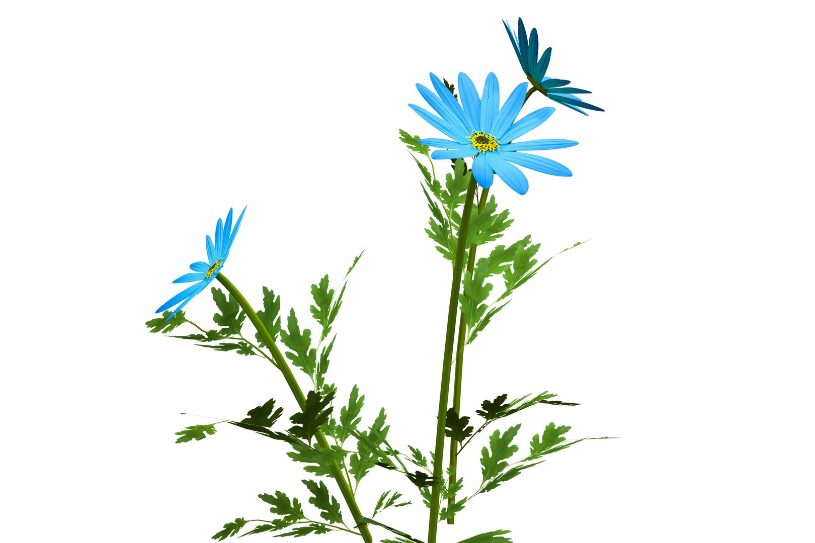 Blue Flower Plant 3D - TurboSquid 2249680