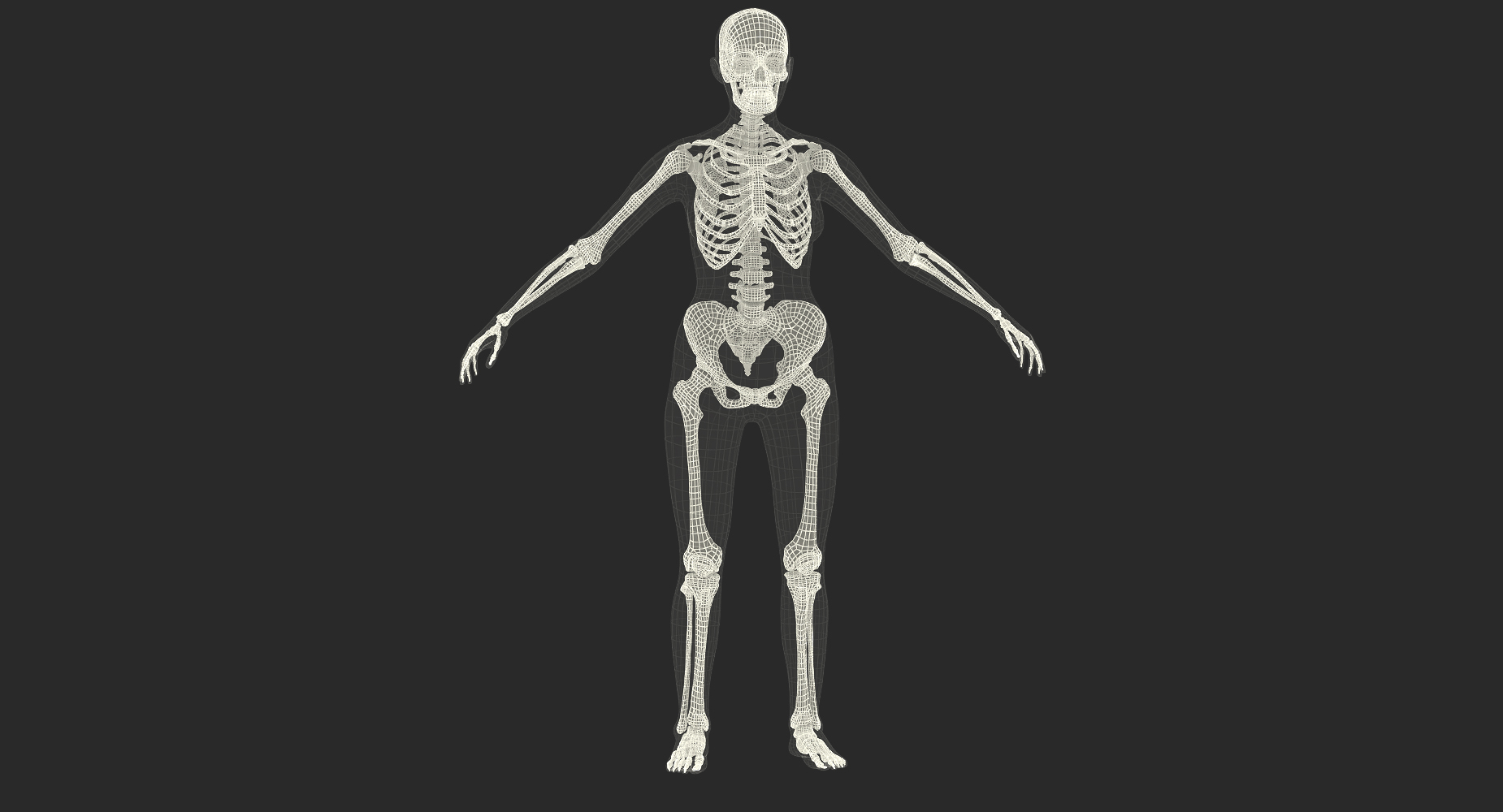 Female body skeleton rigged 3D - TurboSquid 1238151
