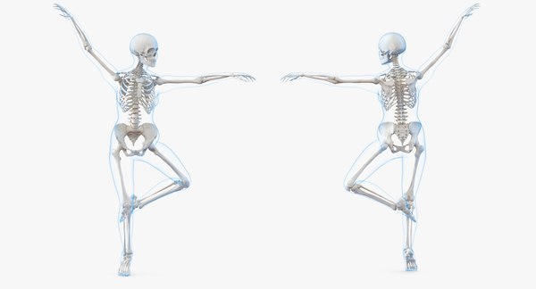 Female body skeleton rigged 3D - TurboSquid 1238151