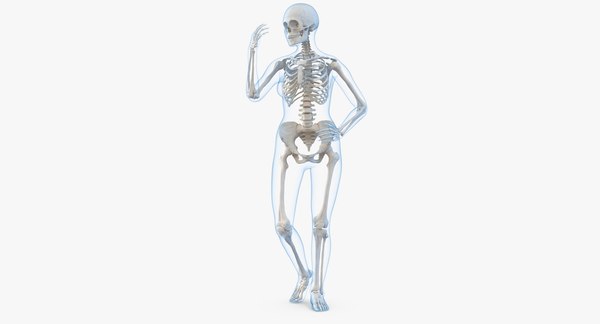 Female body skeleton rigged 3D - TurboSquid 1238151