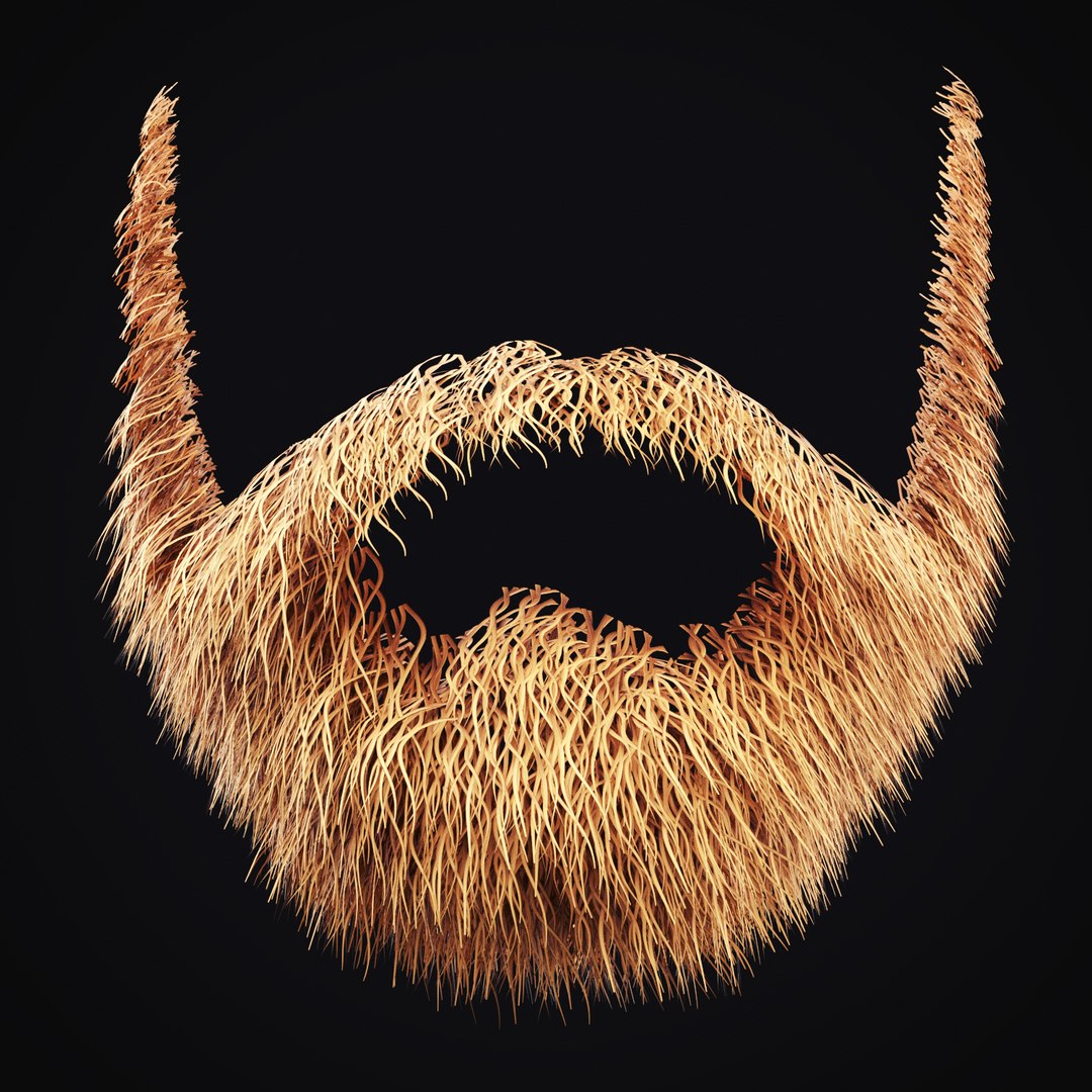 Beard 8 3D Model - TurboSquid 1489661