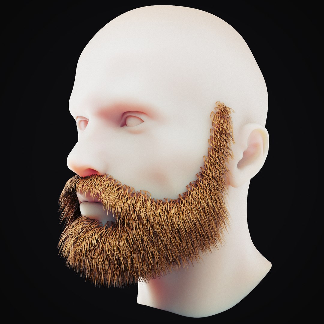 Beard 8 3D Model - TurboSquid 1489661