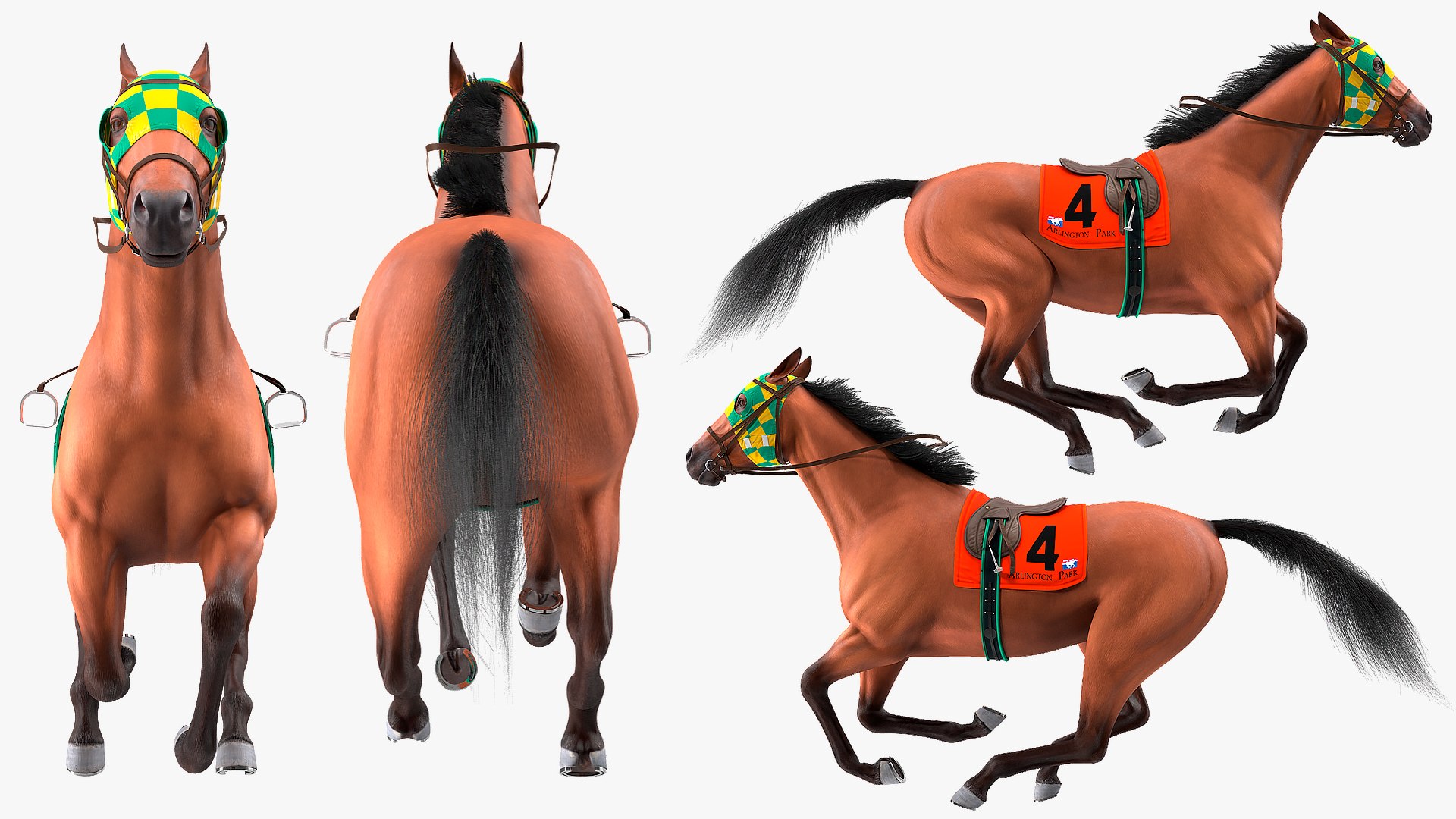Racehorse gallop pose horse 3D model - TurboSquid 1454740